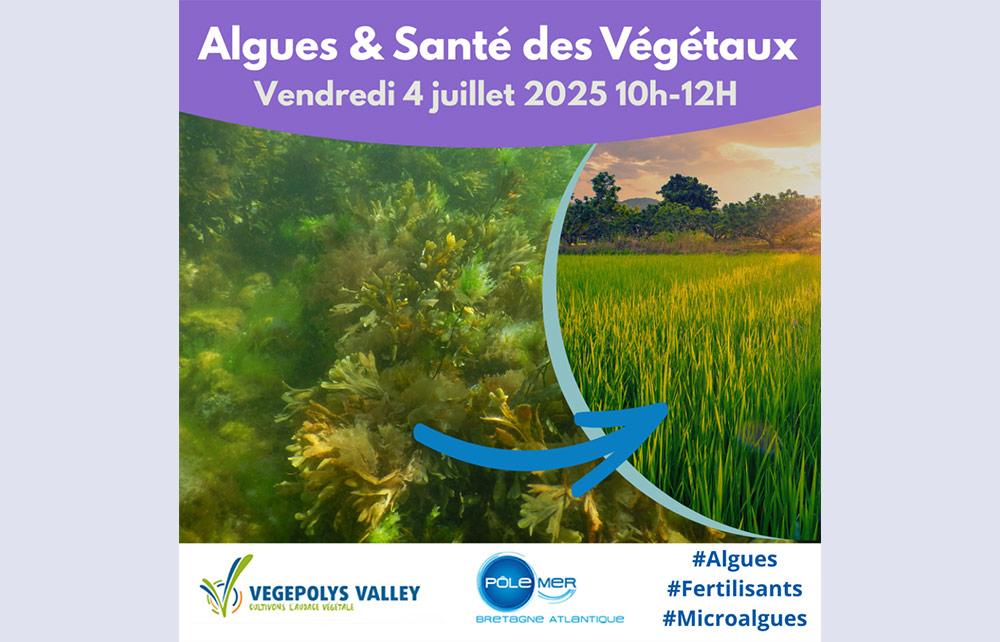 Webinaire Algues pour la santé et la nutrition des végétaux - Atlanpole